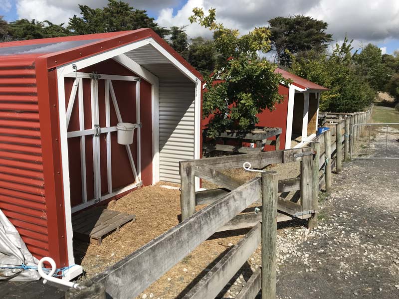My Outpost Horse Shelter and Sheds