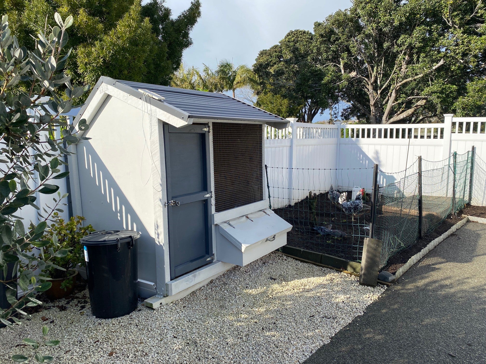 Raising Chickens and Sustainable Home Farming: An Affordable Way to Li