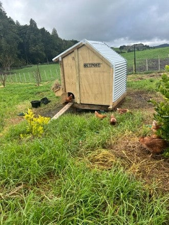 Debbie's 2 Bay Hen House