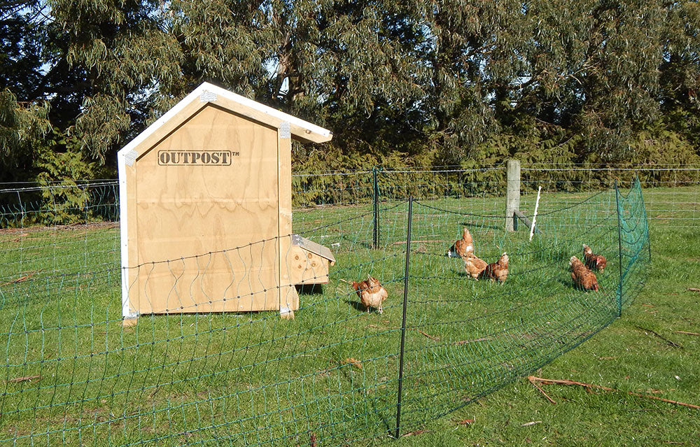 My Outpost Hen House & Calf Shelter